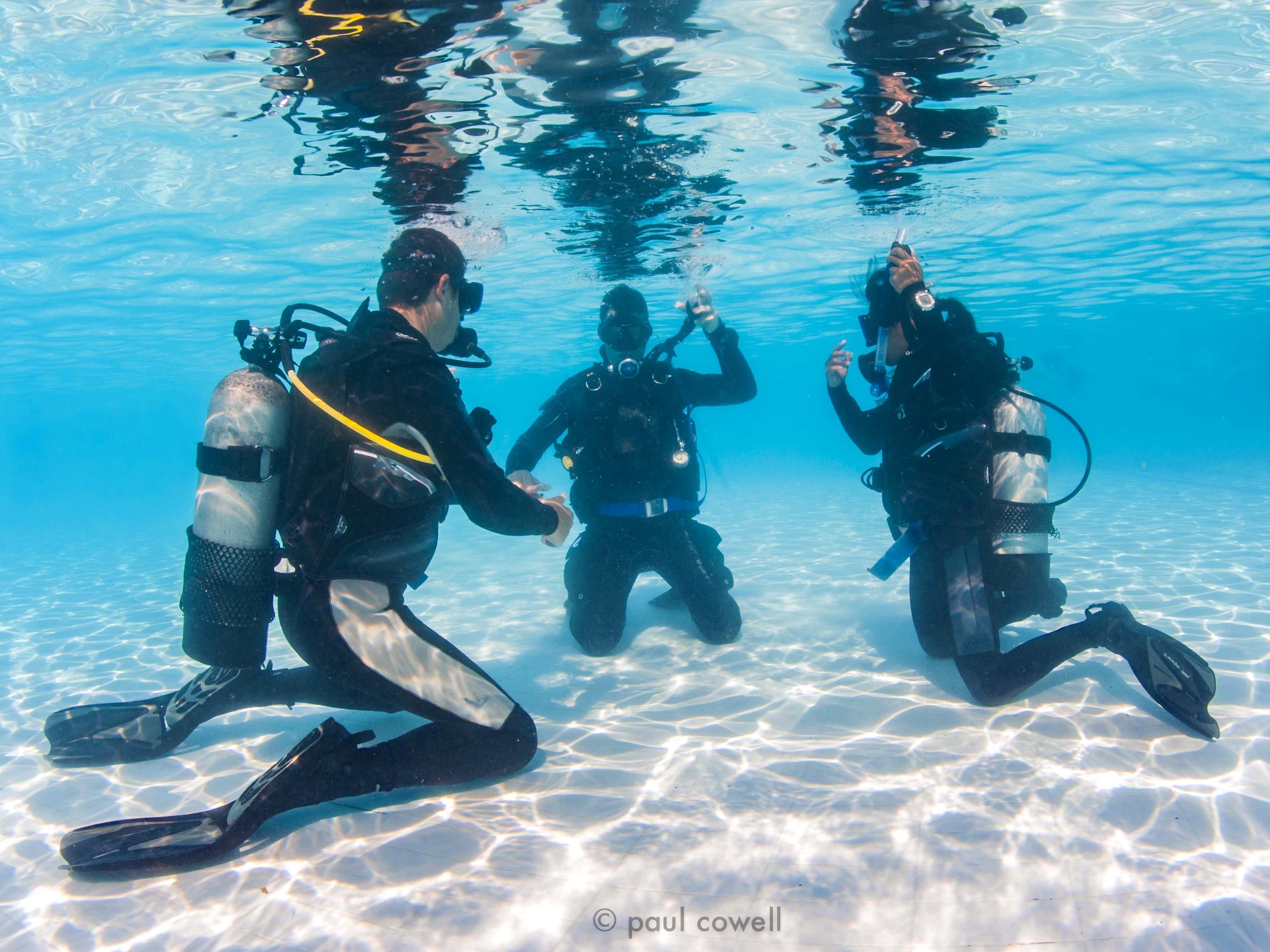 News aus Ägypten: Die Woche im Überblick - James & Mac Diving Center
