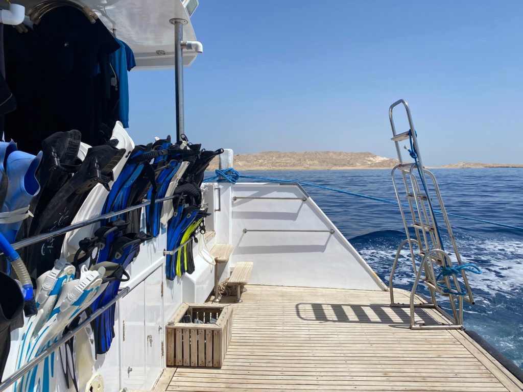 Panorama Riff mit Fuchshai Sichtung - James & Mac Diving Center