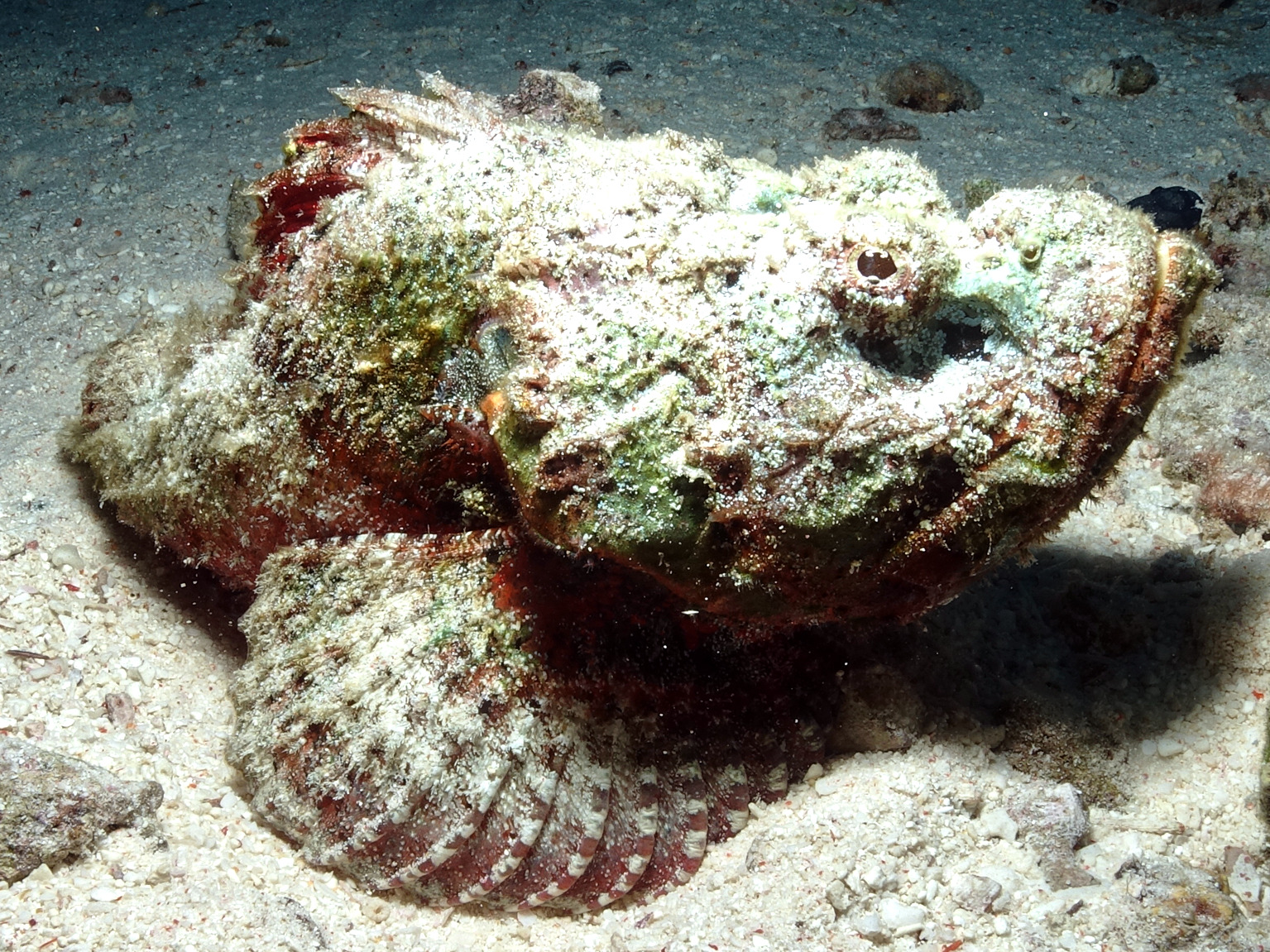 Das Warten hat ein Ende - James & Mac Diving Center