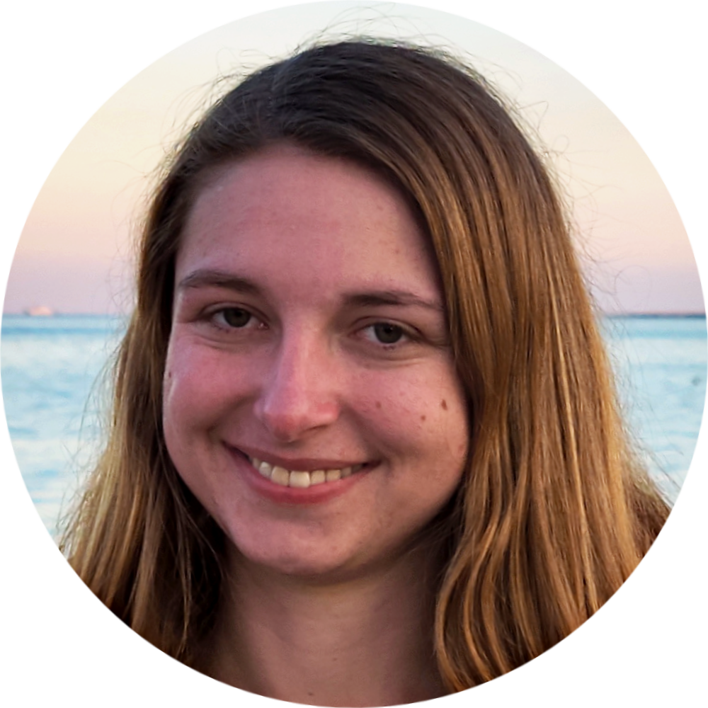 Drei schöne Tauchgänge am Sonntag - Blue Water Dive Resort