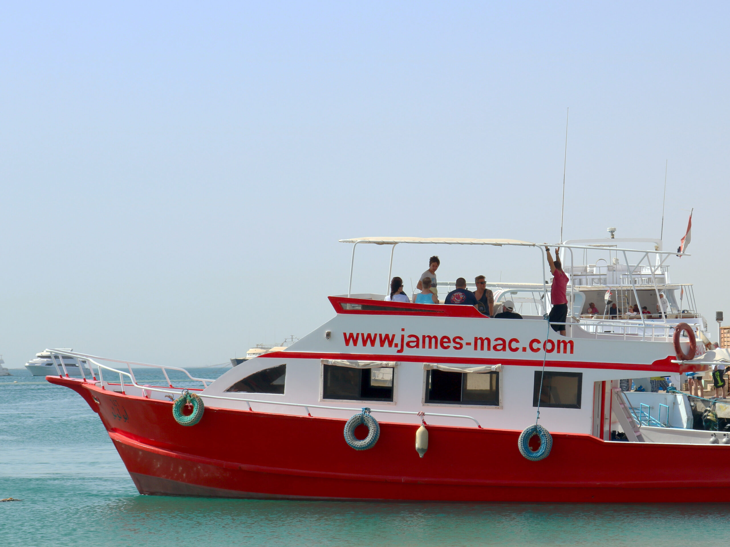 Harald der Hammerhai beim Carless Reef - Blue Water Dive Resort