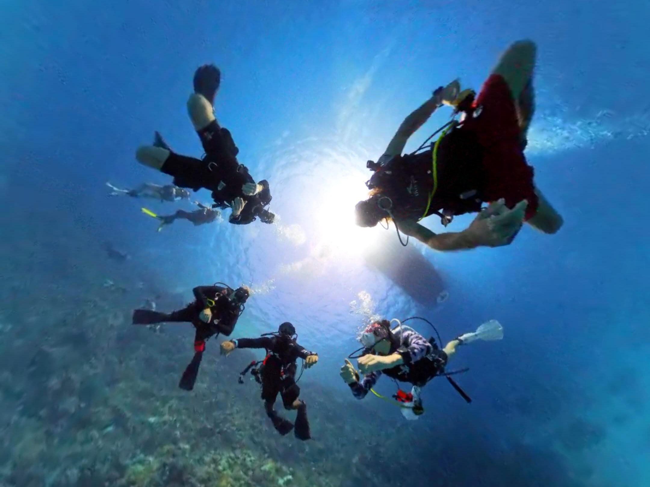 Im Norden fanden wir heute unser Glück - James & Mac Diving Center