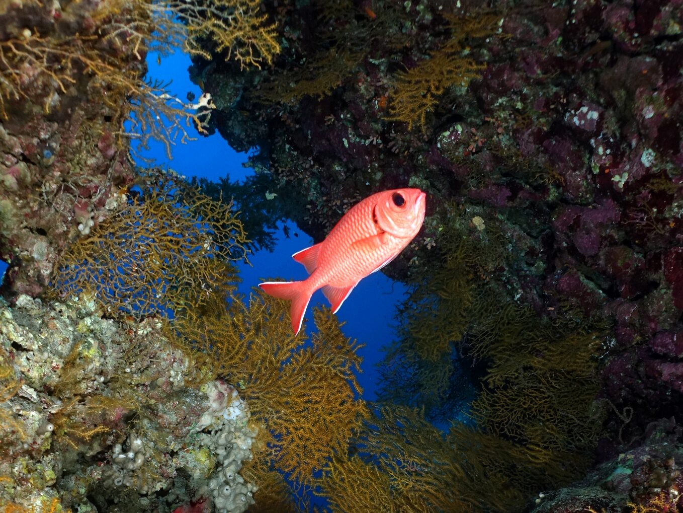 Windstill und warm wie wir es lieben - James & Mac Diving Center